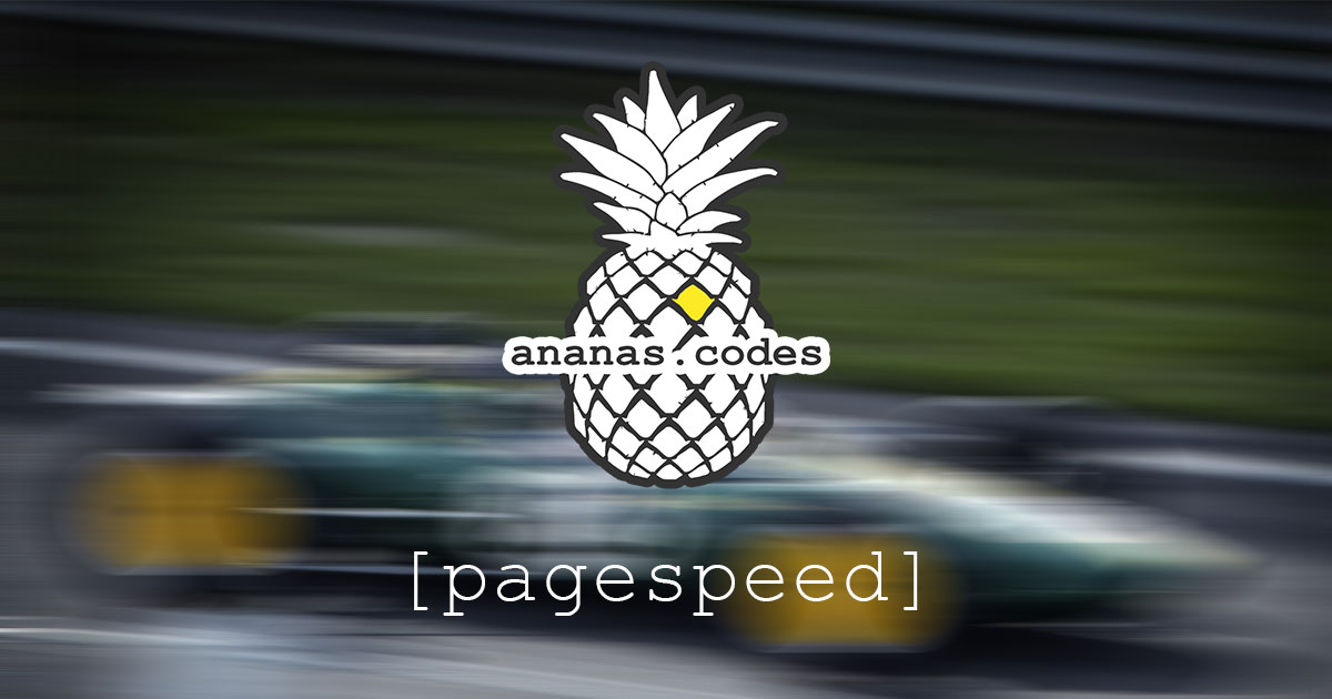 ananas.codes - PageSpeed Optimierung bedeutet Qualität